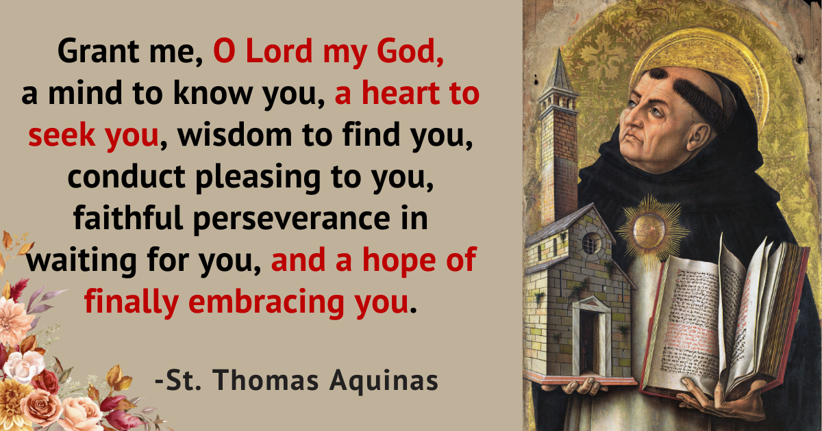A Quote from Saint Thomas Aquinas - Church of St Francis Xavier